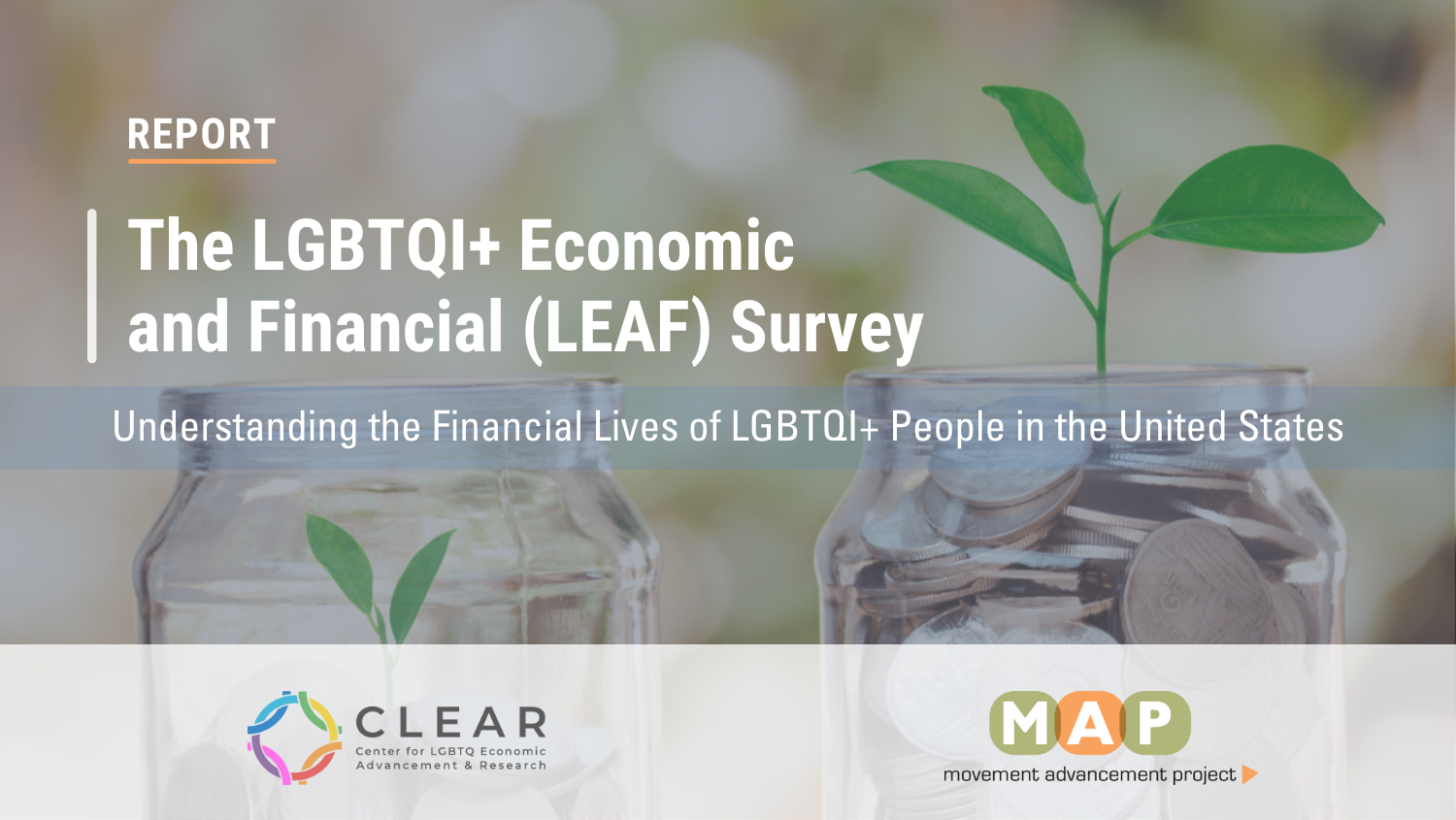 Movement Advancement Project | The LGBTQI+ Economic and Financial (LEAF ...